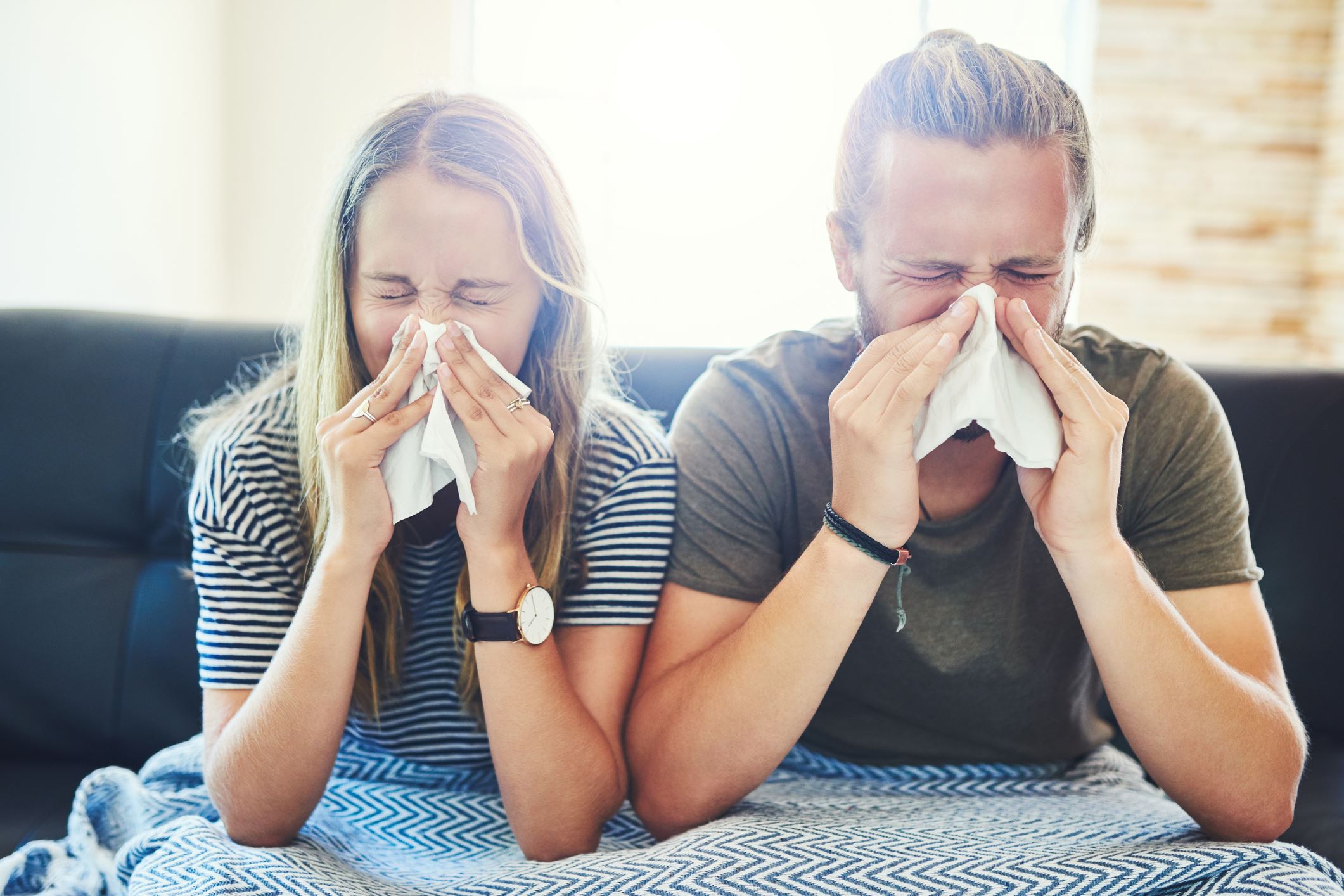How to Prepare Your Home for Spring Allergies